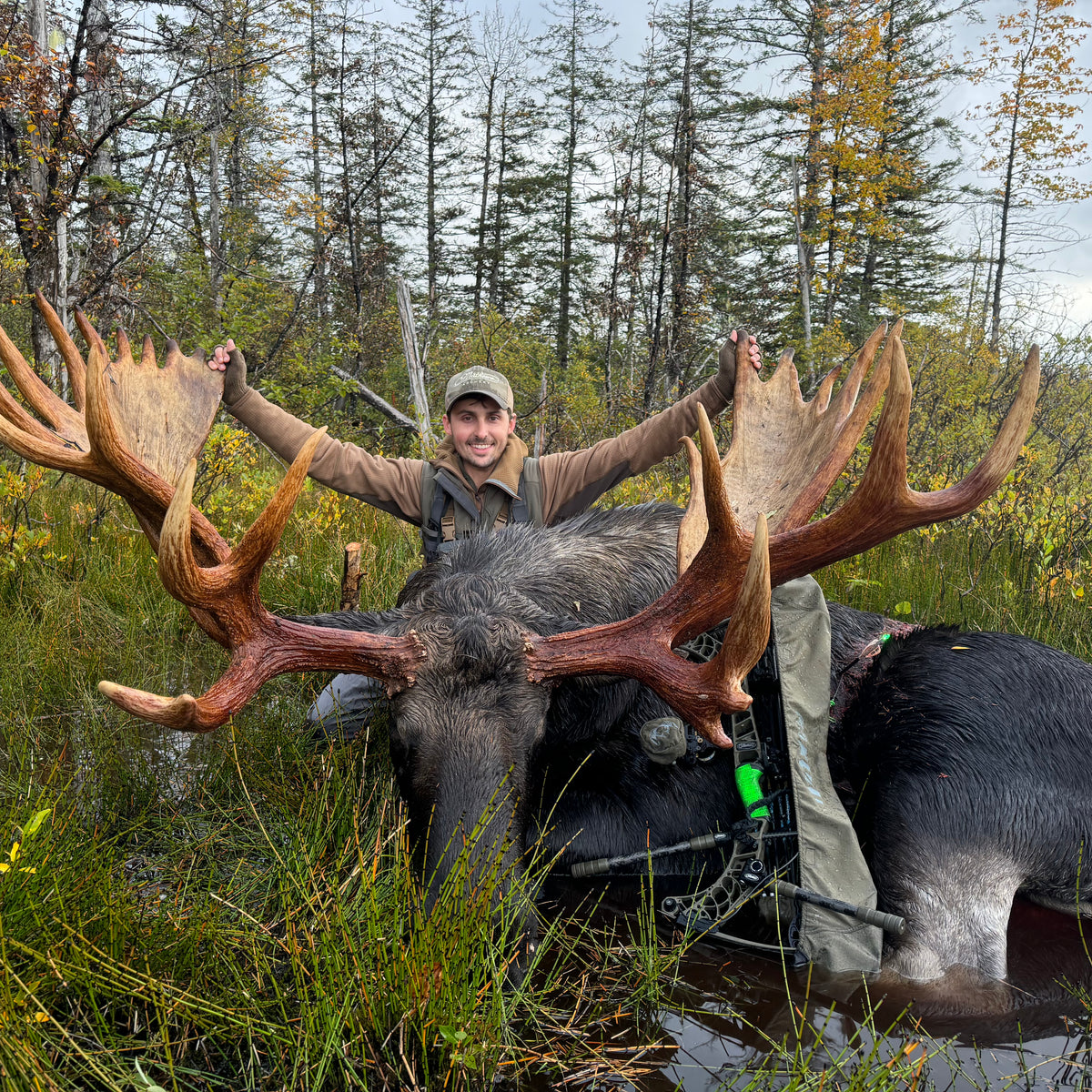 Alaska Moose – Hunt The West